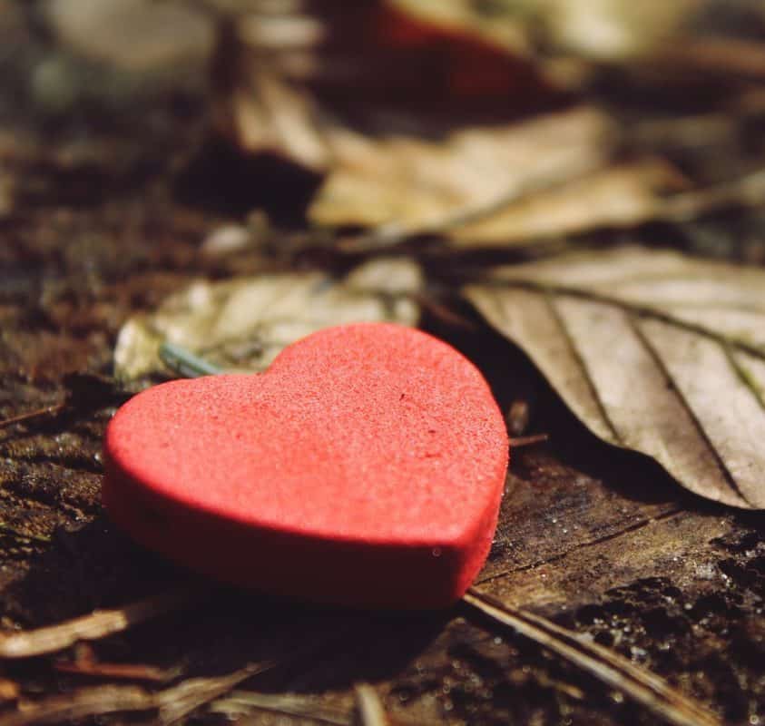 Halte einen Moment inne & spüre das Leben | Doris Mora